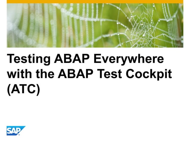 Sap Netweaver Application Server Add On For Code Vulnerability Analysis Overview Ppt