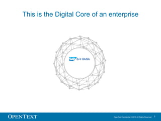 SAP OpenText | PDF