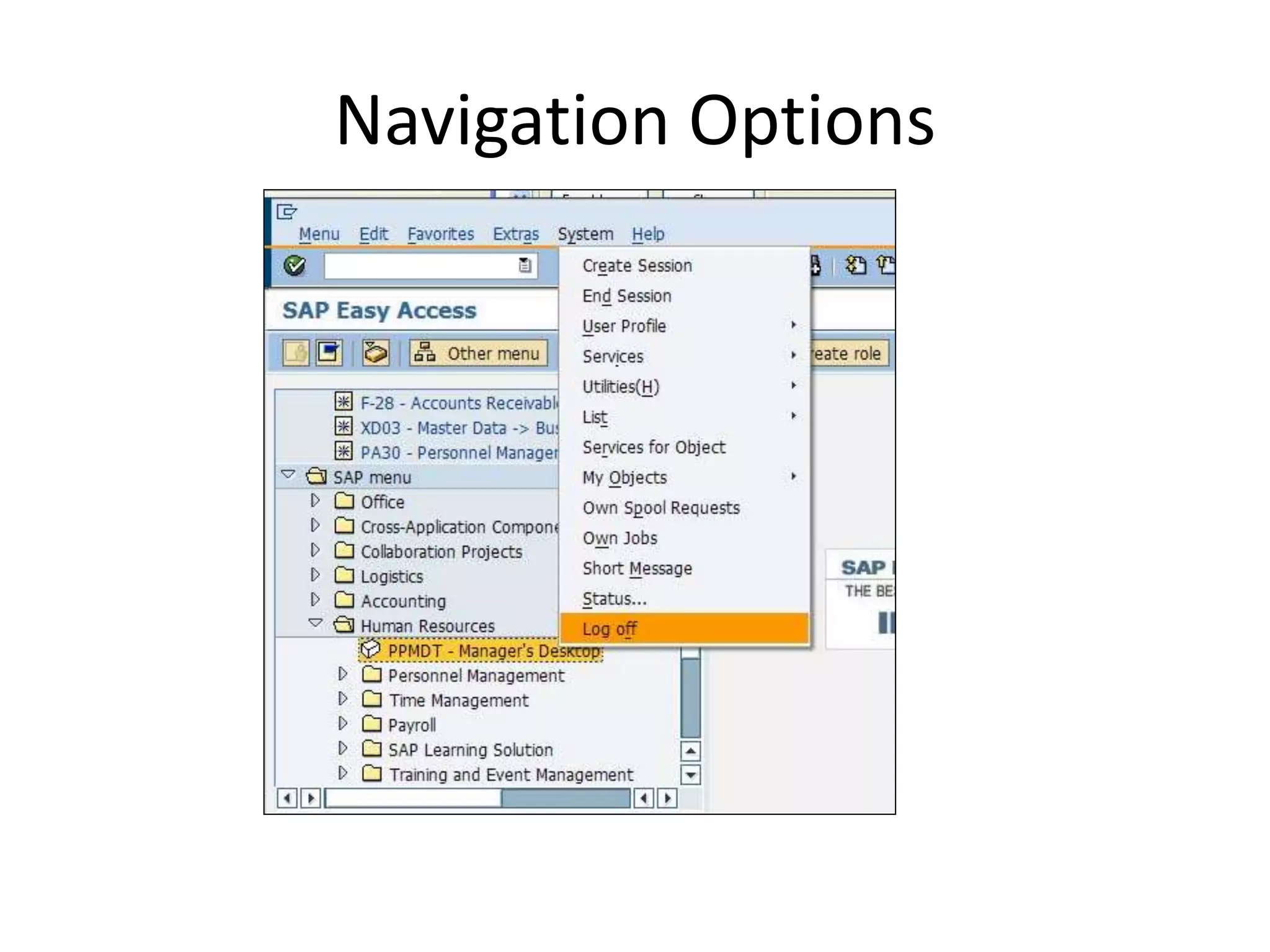 sap-overview.ppt