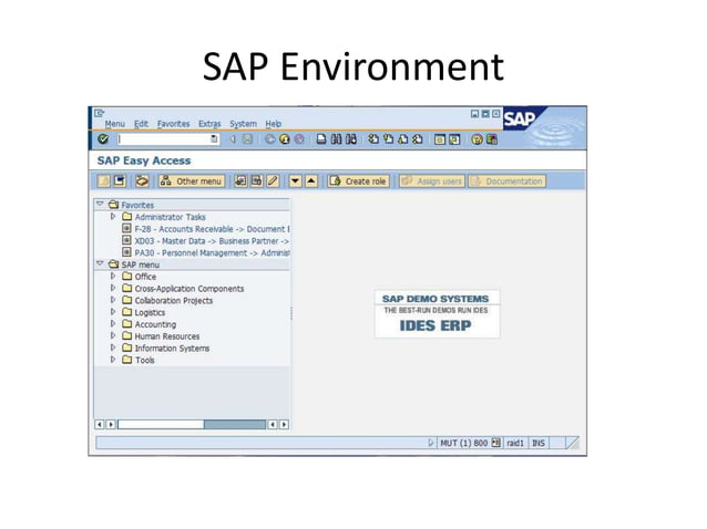 sap-overview.ppt