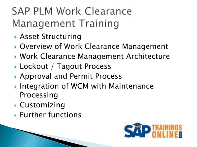 Sap PLM Online Training Course | PPTX | Business | Business and Finance