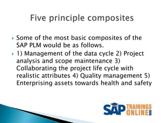 Sap PLM Online Training Course | PPTX | Business | Business and Finance