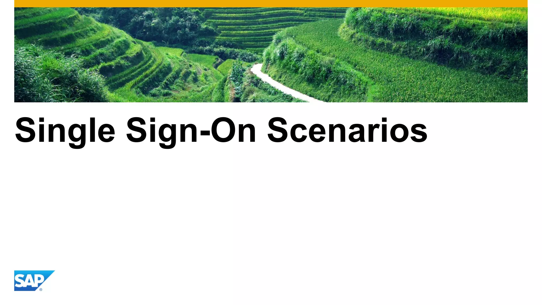 SAP Single Sign-On 2.0 Overview | PDF