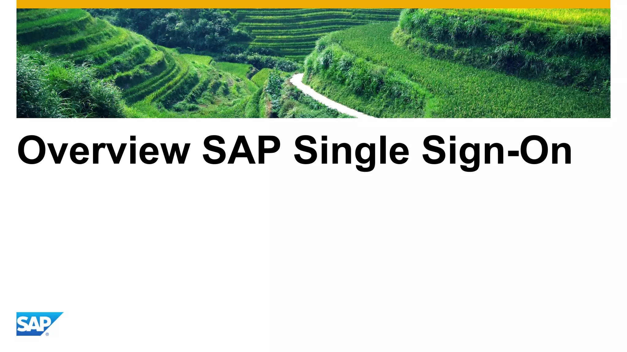 SAP Single Sign-On 2.0 Overview | PDF