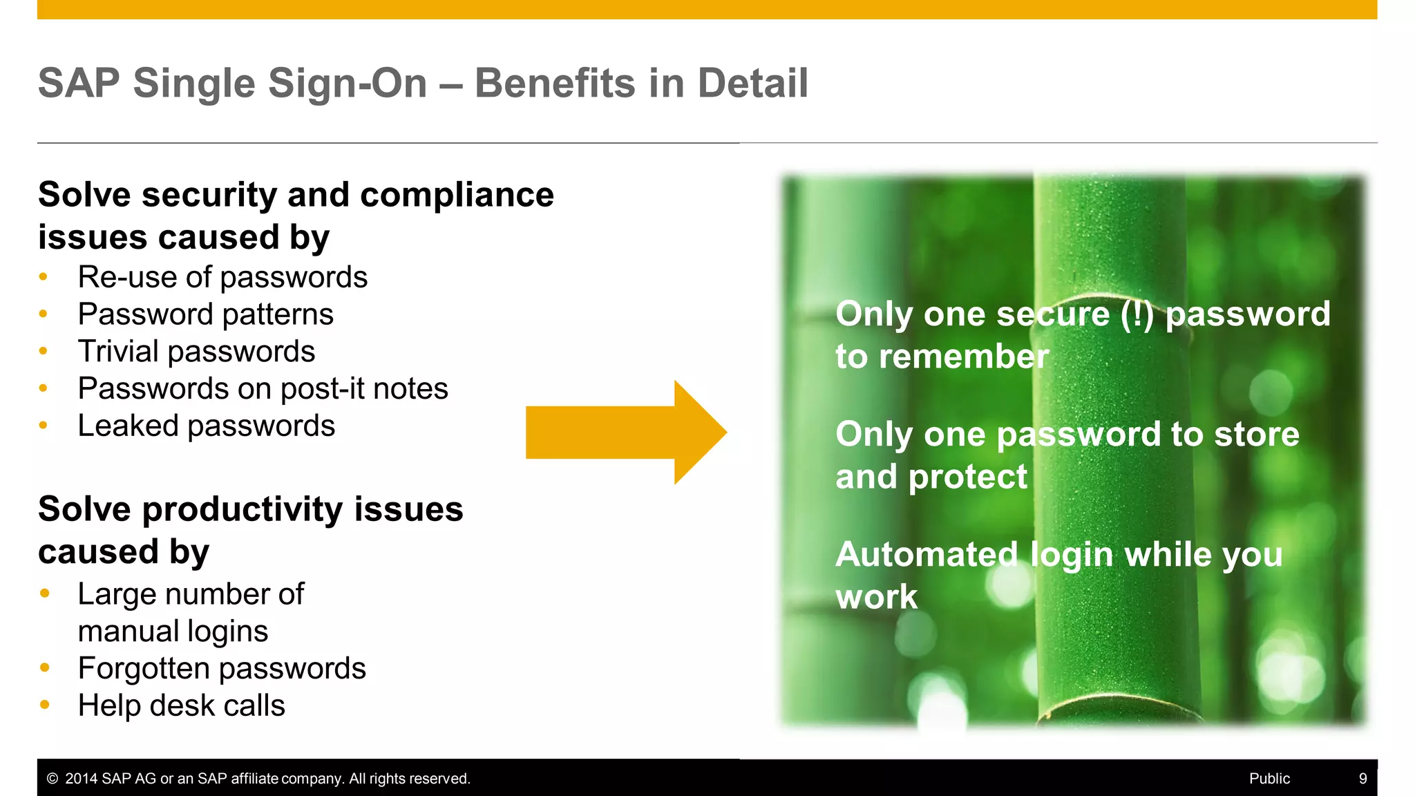 SAP Single Sign-On 2.0 Overview | PDF