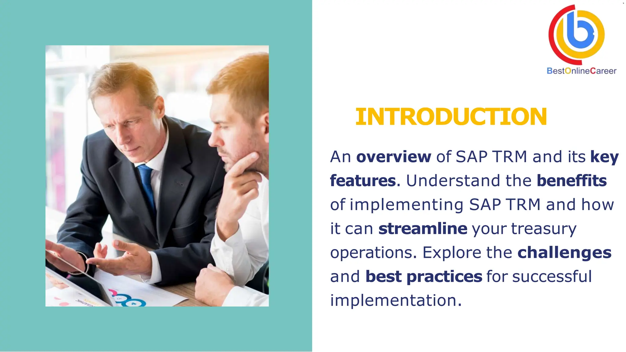 SAP Treasury and Risk Management: A Step-by-Step Implementation Guide ...