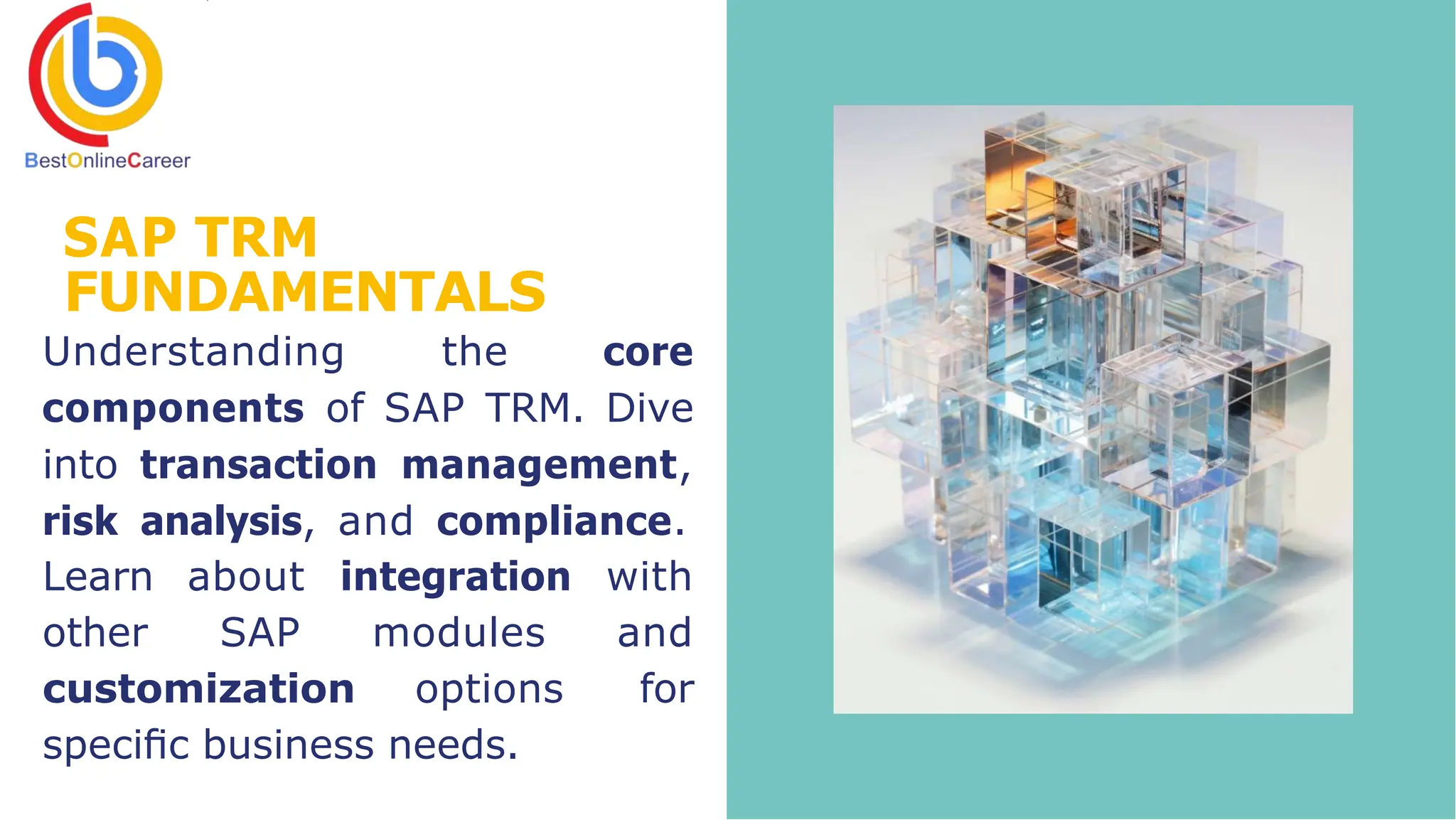 SAP Treasury and Risk Management: A Step-by-Step Implementation Guide ...