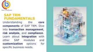 SAP Treasury and Risk Management: A Step-by-Step Implementation Guide ...