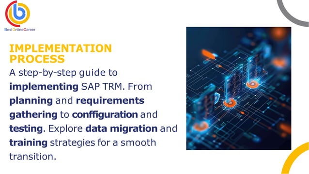 SAP Treasury and Risk Management: A Step-by-Step Implementation Guide ...