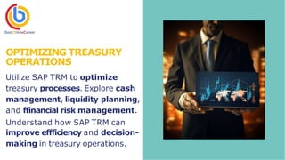 SAP Treasury and Risk Management: A Step-by-Step Implementation Guide ...