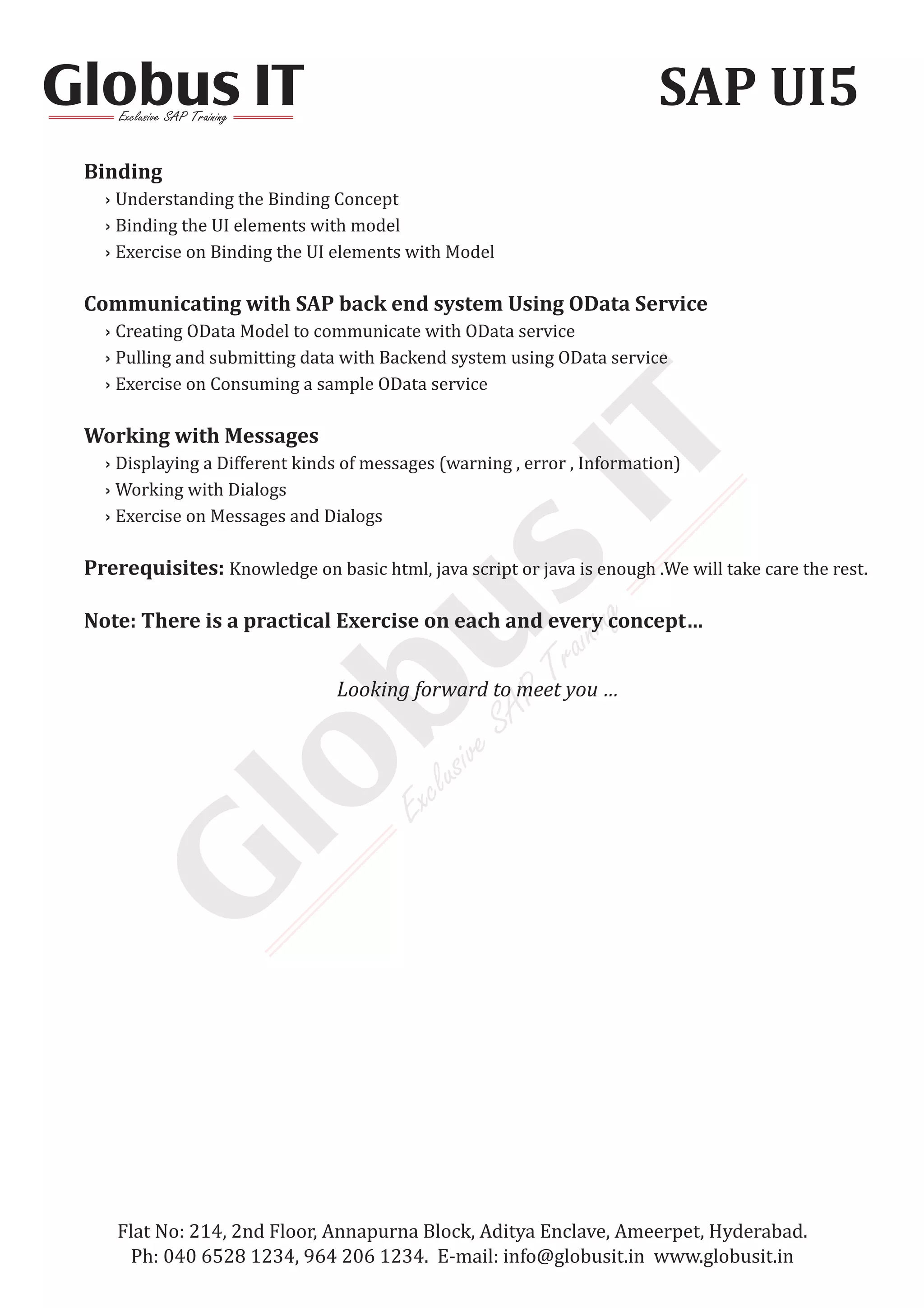 Sap ui5-training-in hyderabad | PDF