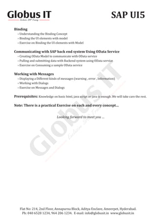 Sap ui5-training-in hyderabad | PDF