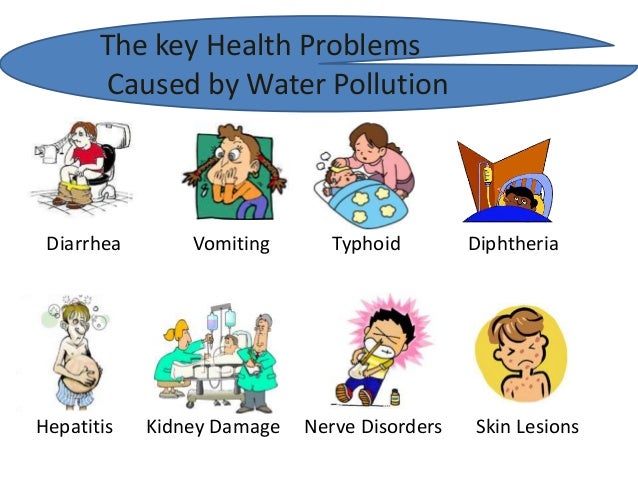social awarness program on environment