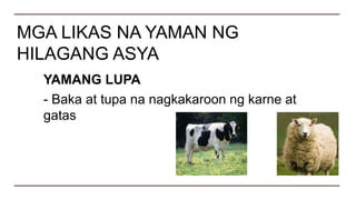 SAP 7 - Q1 Week 3 (Mga Likas na Yaman ng Asya).pptx