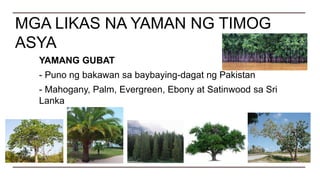 SAP 7 - Q1 Week 3 (Mga Likas na Yaman ng Asya).pptx