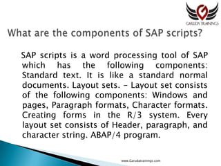 SAP ABAP Latest Interview Questions | PPTX