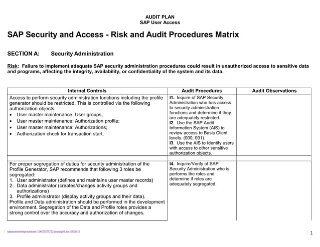 Sap Access Risks Procedures | DOC