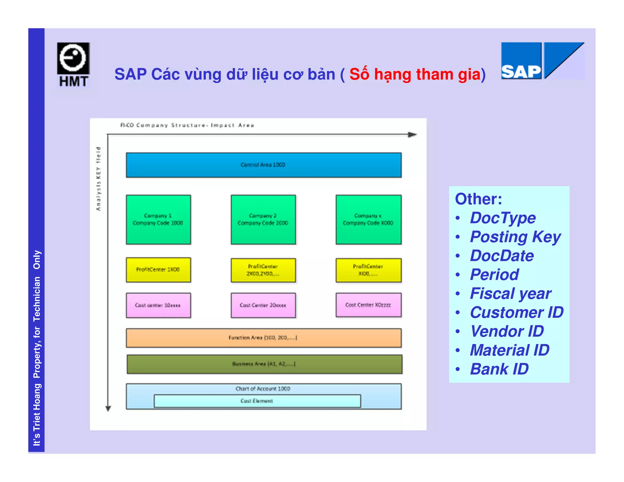SAP FICO overview - technical viewpoint (Vietnamese) | PDF