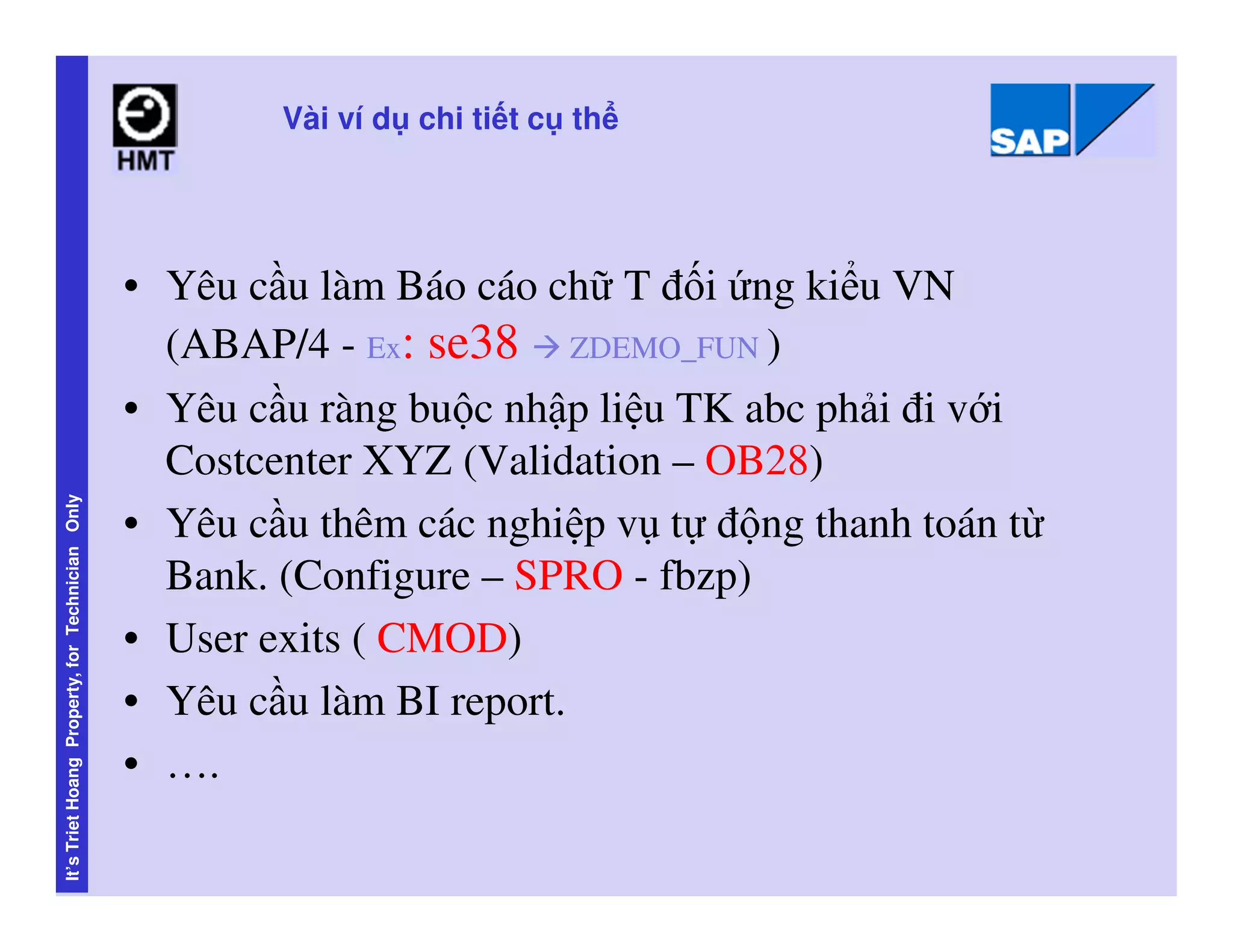 SAP FICO overview - technical viewpoint (Vietnamese) | PDF
