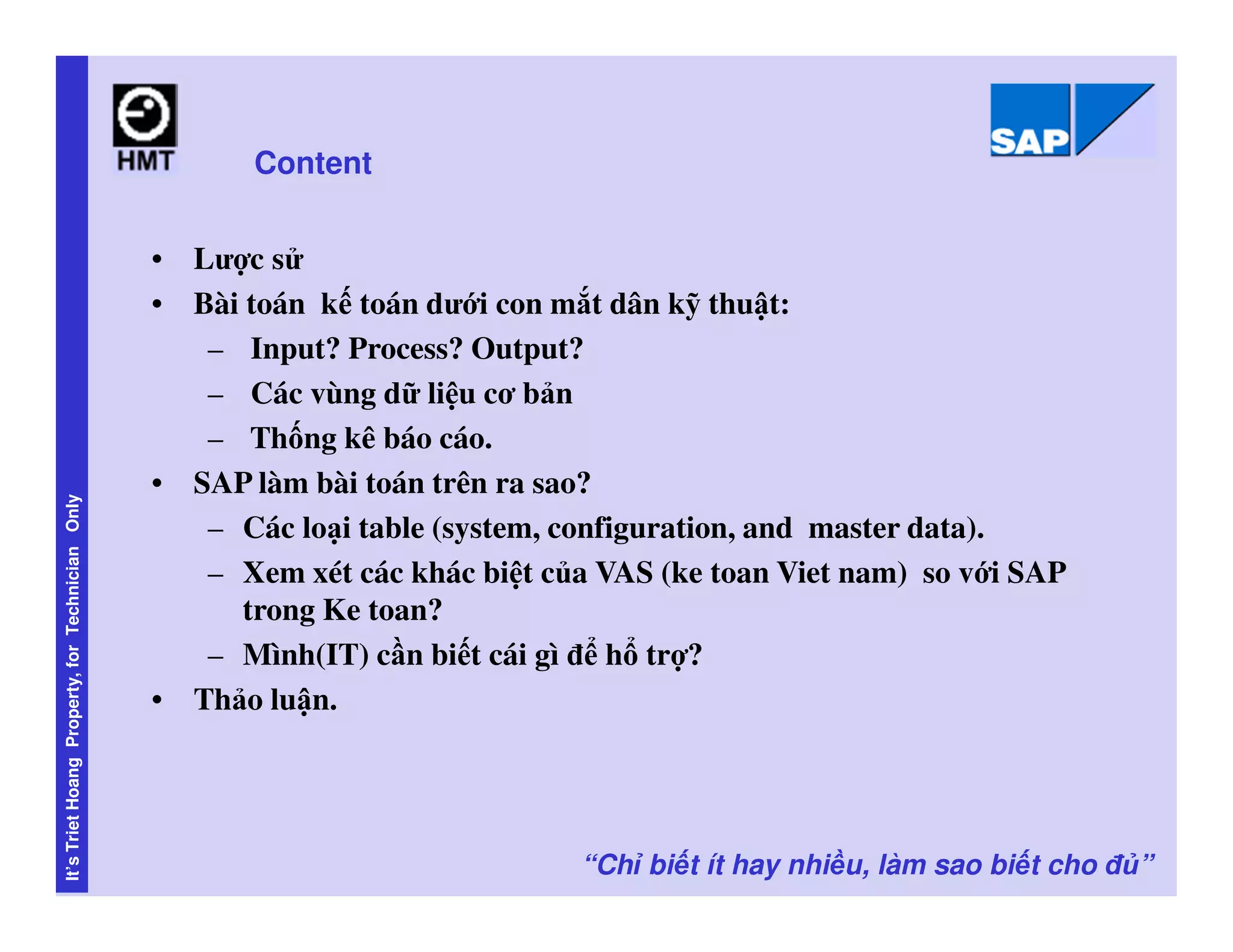 SAP FICO overview - technical viewpoint (Vietnamese) | PDF
