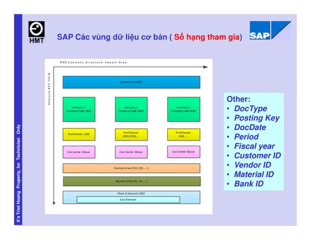 SAP FICO overview - technical viewpoint (Vietnamese) | PPT
