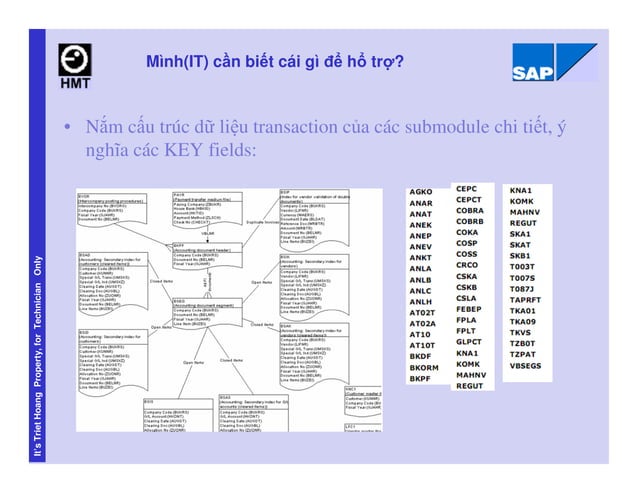 SAP FICO overview - technical viewpoint (Vietnamese) | PPT