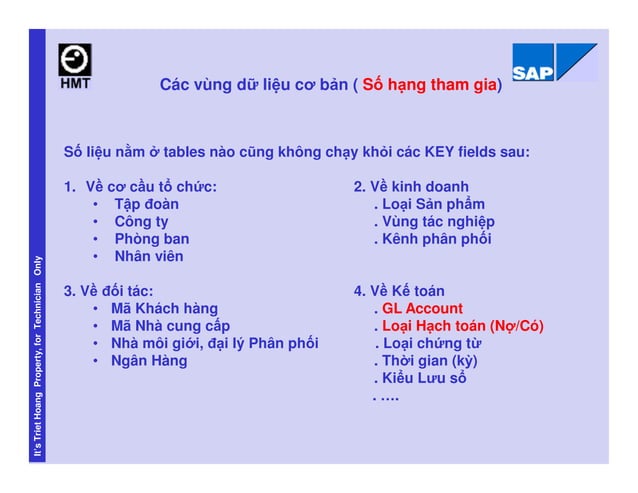 SAP FICO overview - technical viewpoint (Vietnamese) | PPT