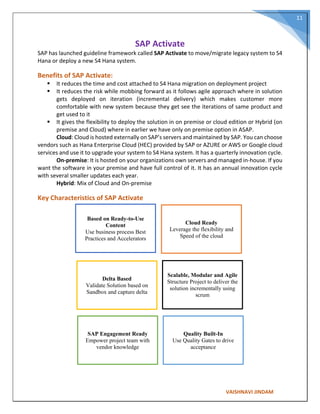 SAP Activate Elements.pdf