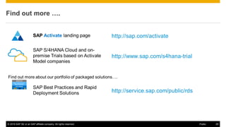 Sap activate overview | PDF