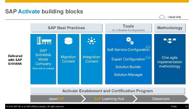 Sap activate overview