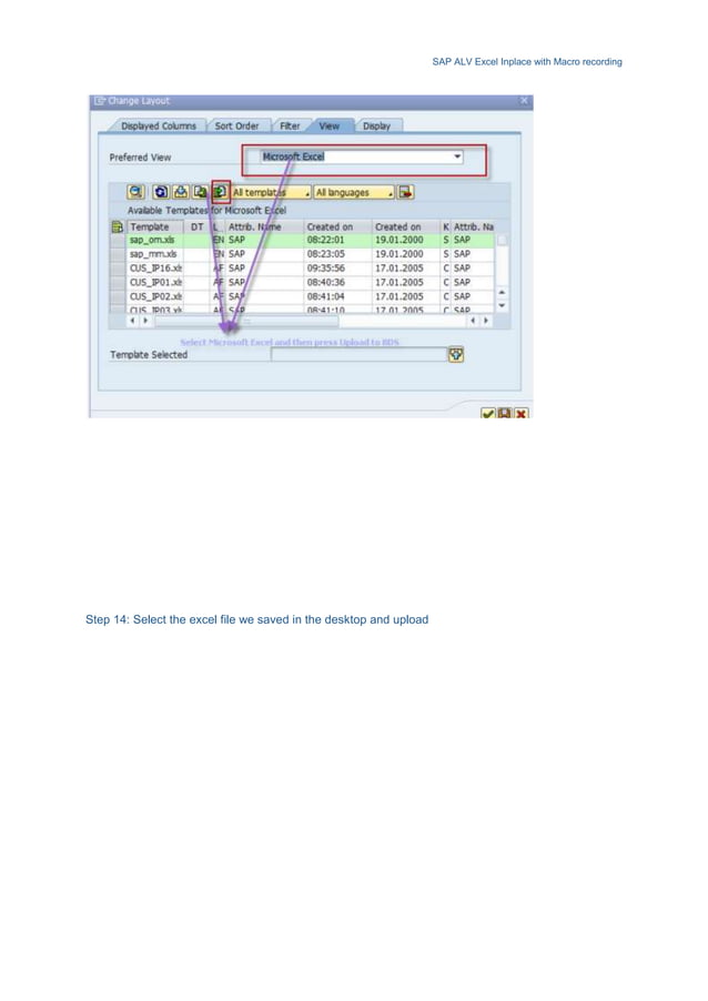 Sap alv excel inplace with macro recording sapignite | DOCX