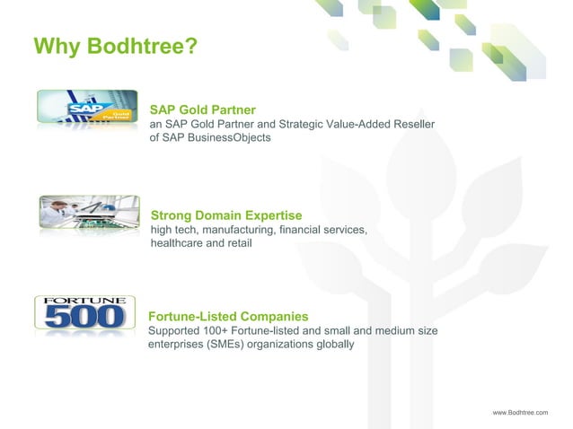 Business Analytics From Bodhtree Ppt