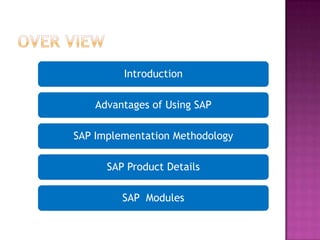 Sap audit _ Basic | PPTX