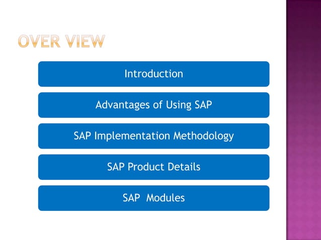 Sap audit _ Basic | PPTX