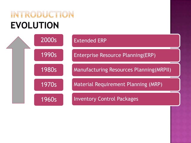 Sap audit _ Basic | PPTX