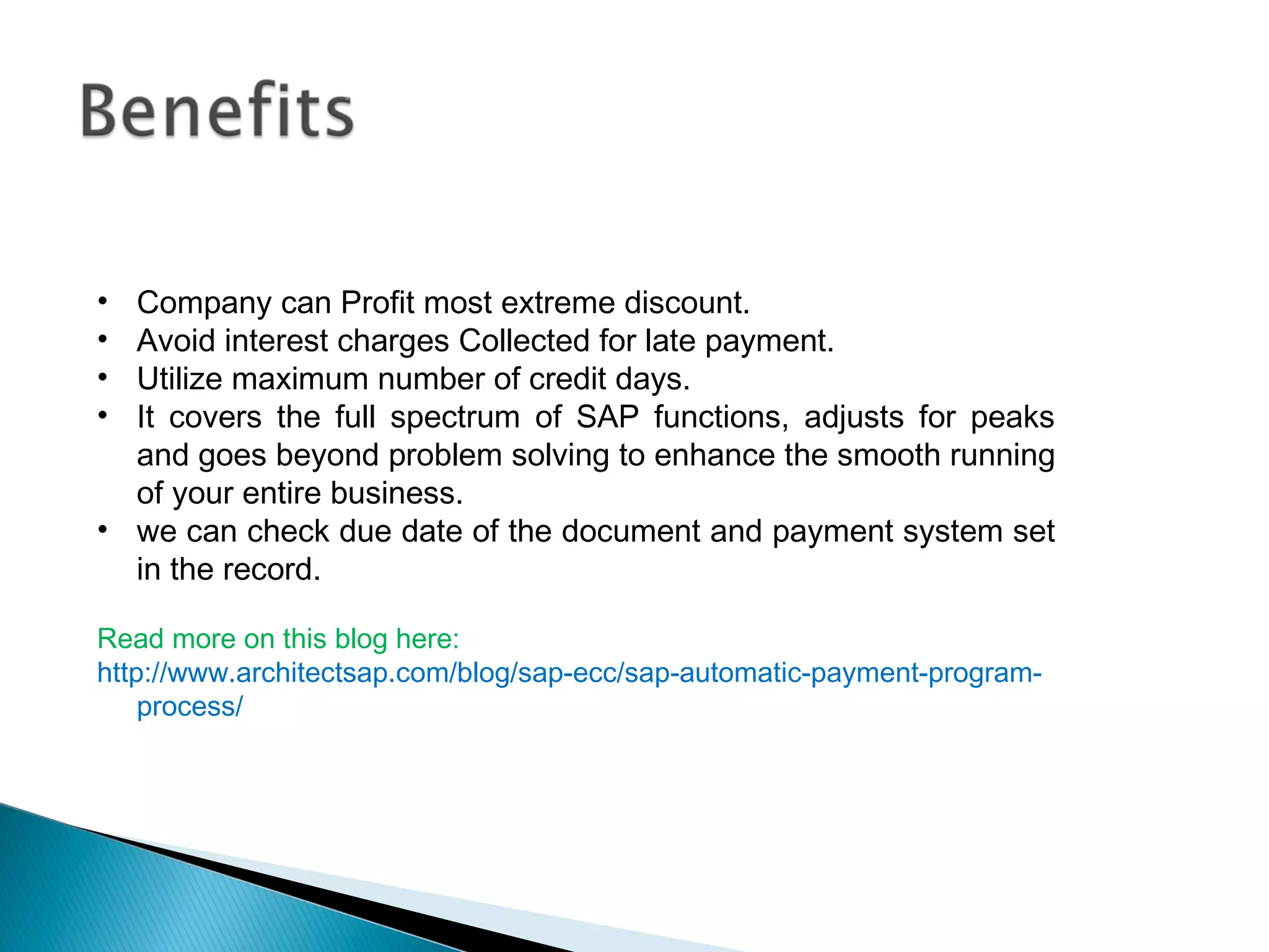 SAP Automatic Payment Program Process - Scale Down Your Work Load | PPS