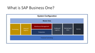 SAP BUSINESS ONE INTRODUCTION & FUNDAMENTAL | PPTX