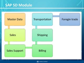 Sap basics (SAP Modules) | PPTX