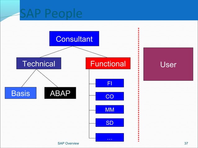 SAP Basics and Overview | PPT