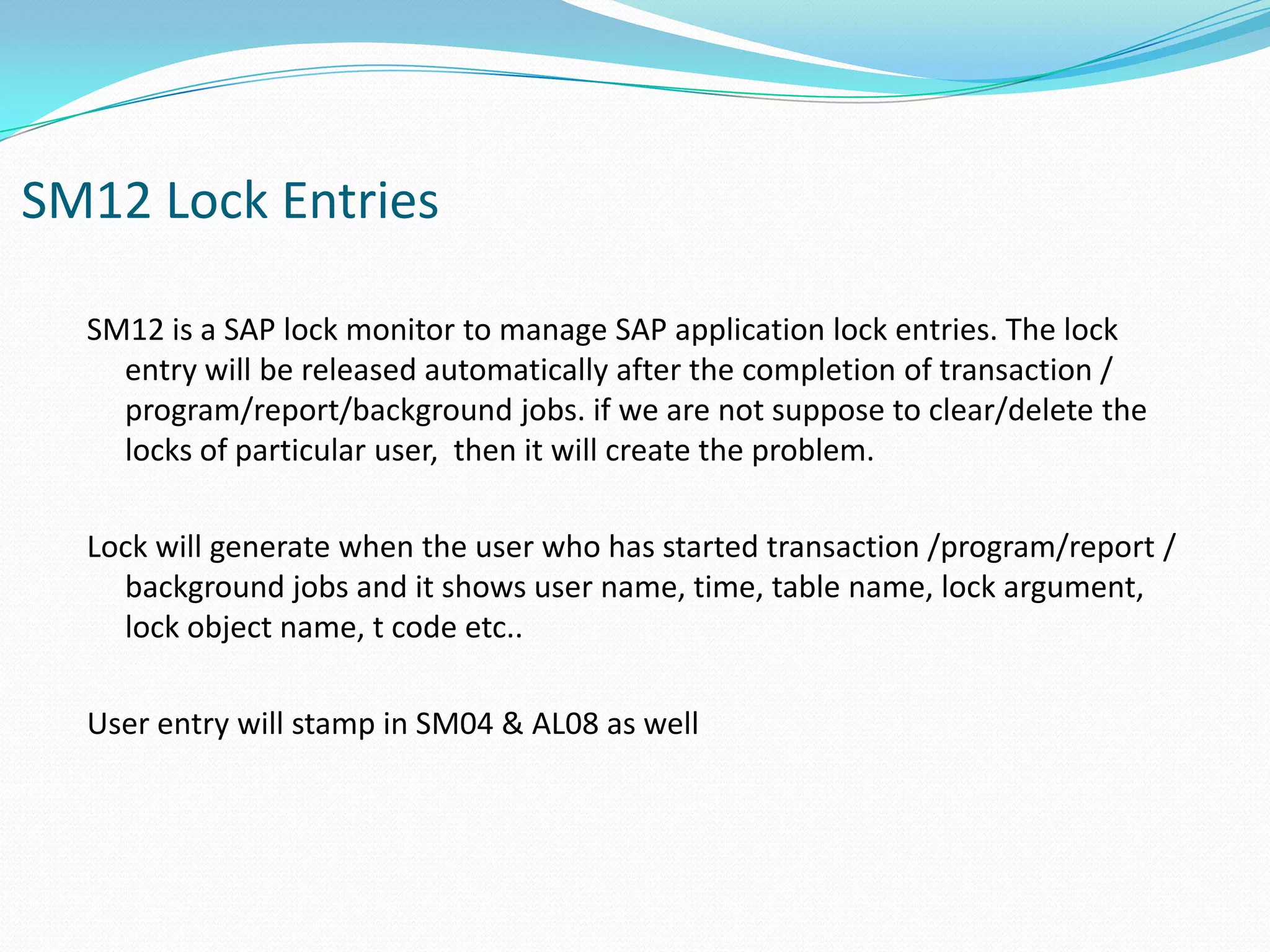 SAP BASIS Skills for Functional Consultants | PDF