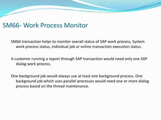 SAP BASIS Skills for Functional Consultants | PDF