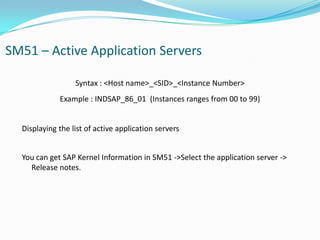SAP BASIS Skills for Functional Consultants | PDF