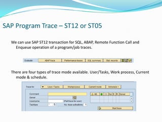 SAP BASIS Skills for Functional Consultants | PDF