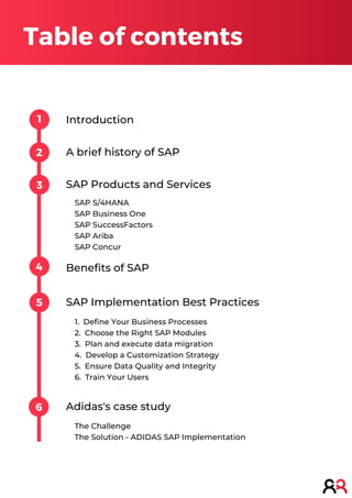 SAP best practices.pdf