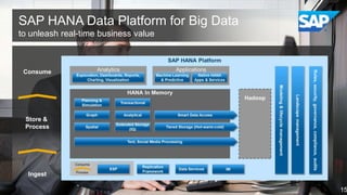SAP Big Data Strategy | PPTX