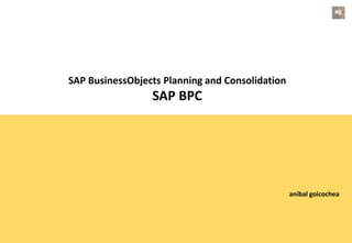 SAP BPC - Presentación | PDF