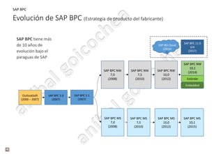 SAP BPC - Presentación | PDF