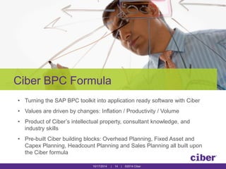 SAP BPC driving efficiency in planning and performance management | PDF