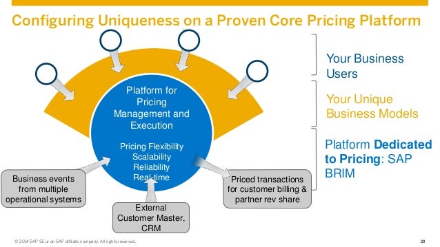 Subscription Billing for Professional Services with SAP BRIM
