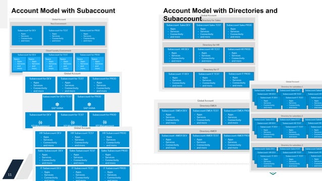 SAP BTP Basic Platform Concepts for beginners | PPTX